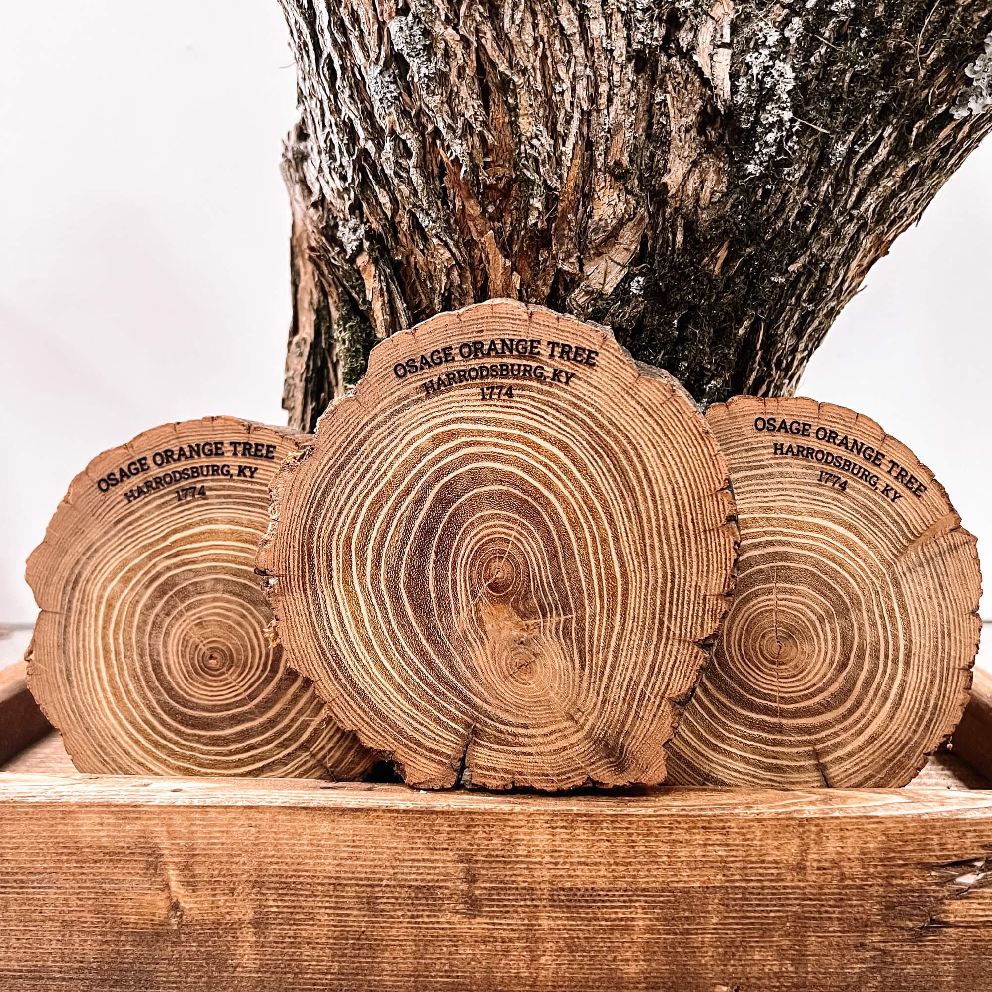 Branding - The Tinker Garage